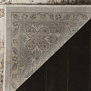 SAFAVIEH Vintage Collection Accent Rug - 2' x 3', Stone & Mouse, Oriental Traditional Distressed Viscose Design, Ideal for High Traffic Areas in Entryway, Living Room, Bedroom (VTG168-3410)