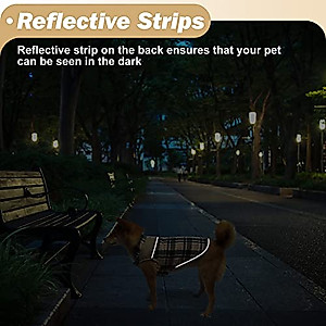 BEAUTYZOO Reflective Dog Winter Coat,Reversible British Style Plaid Dog Vest Windproof Waterproof Dog Jacket Clothes for Small Medium Large Dogs, Pet Apparel Girl or Boy Outfits, Beige S