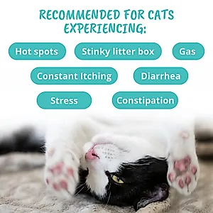 Under The Weather Pet Probiotic Chews for Cats | Promotes Normal Digestion, Balances Healthy Gut Health | 60 Star Shaped Soft Chews