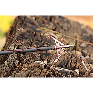 RAGE Hypodermic Trypan Broadhead 100gr 3pk. Silver (35100)