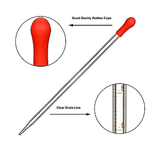 StonyLab Glass Dropper Pipettes Set, Thick Borosilicate Glass Dropping Pipettes Liquid Transfer Set with Red Rubber Caps for Lab, Set of 10 (Graduated 0.5ml, 1ml, 2ml; Non-Graduated 1ml, 3ml)