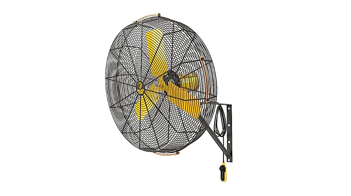Big Ass Fans AirEye Wall Mount Fan - Powerful & Durable 30" Fan