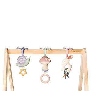 Itzy Ritzy Activity Gym – Premium Wooden Baby Gym Includes Quilted Play Mat and 3 Removable Toys; Pastel Rainbow