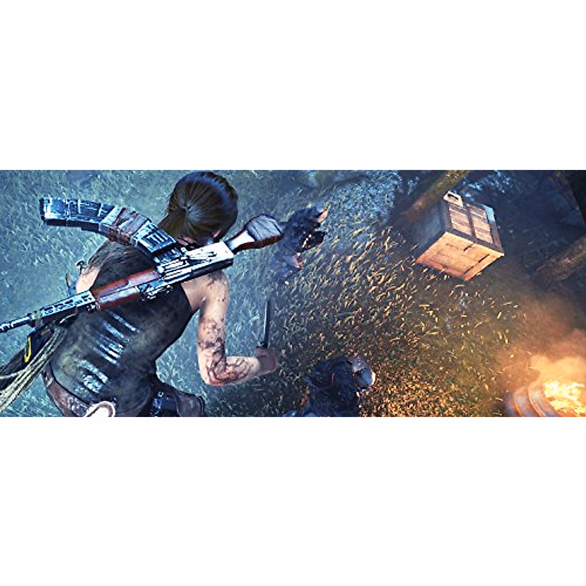 Rise of the Tomb Raider: 20 Year Celebration - PlayStation 4