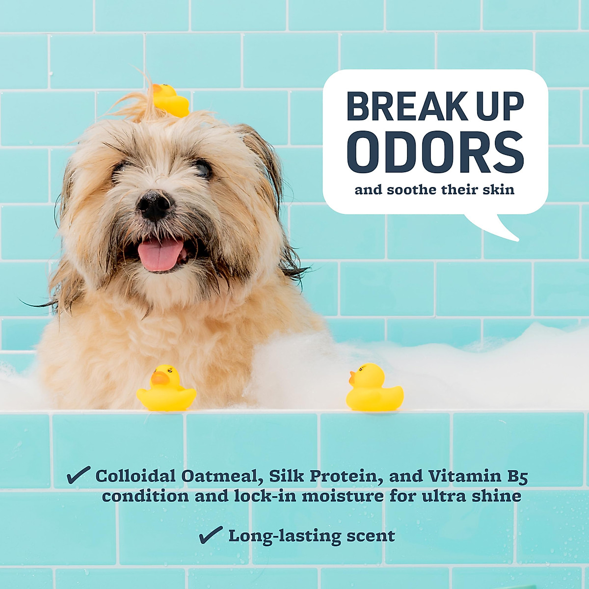 Veterinary Formula Smart Coat Complex Soothing and Deodorizing Oatmeal Shampoo for Dogs, 17 Fl oz – Baking Soda Eliminates Odors, Aloe Vera & Oatmeal Cleanse and Hydrate Skin – Long-Lasting Fragrance