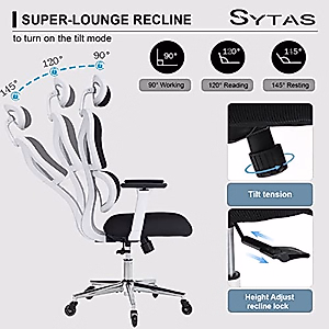 Sytas Ergonomic Home Office Chair, Desk Chair with Lumbar Support, Ergonomic Computer Chair High Back