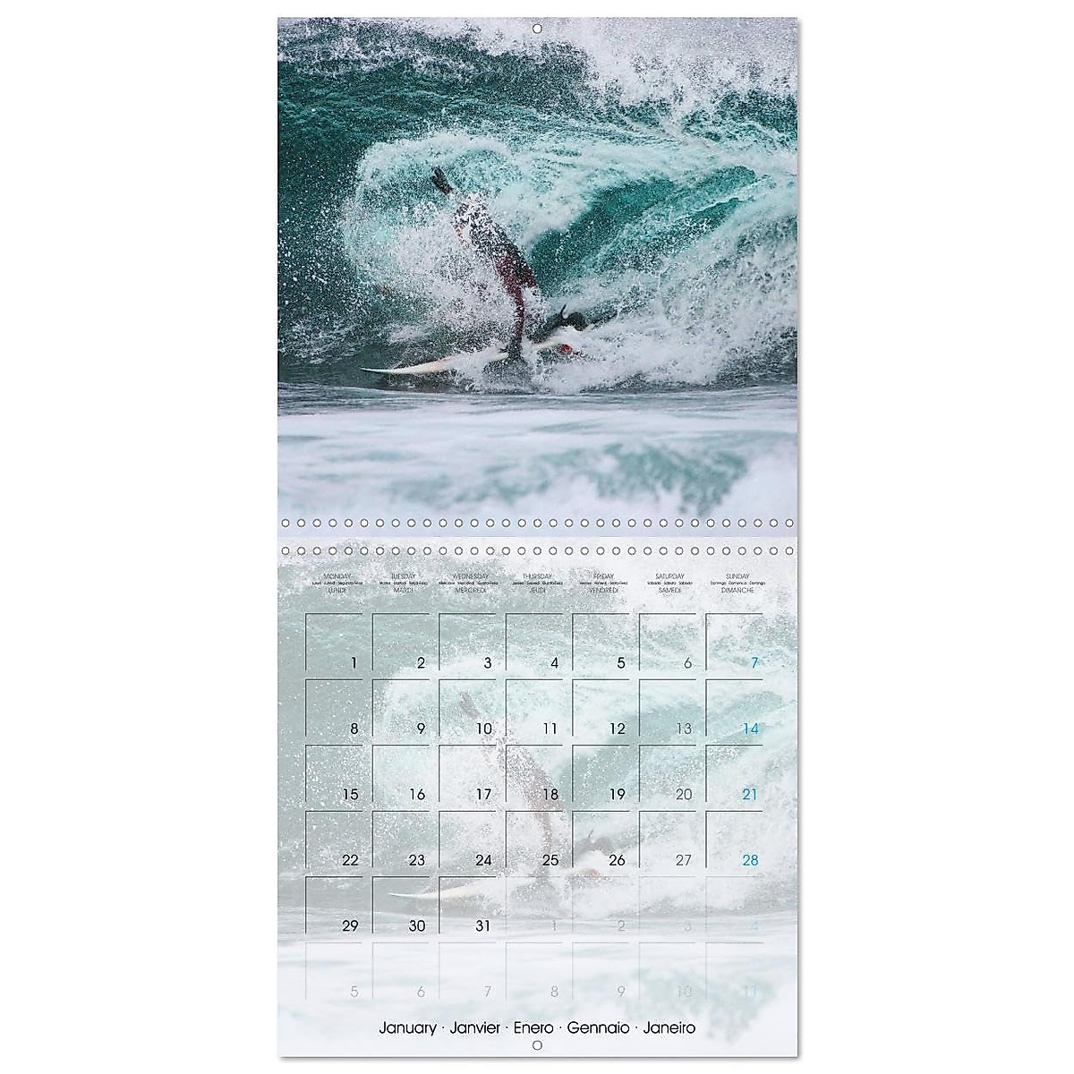 Surfing Passion (Wall Calendar 2024 12" × 12"), CALVENDO 12 Month Wall Calendar