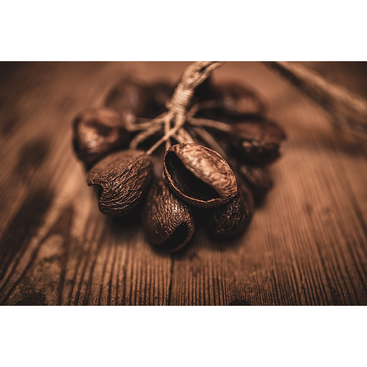 Meinl Sonic Energy Seed Shell Shaker Percussion Instrument — Nature Sounds for Meditation, ASMR, Sound Therapy, Yoga