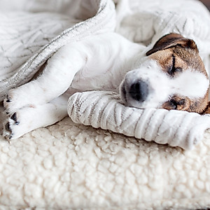 PETMAKER Orthopedic Dog Bed with Memory Foam and Sherpa Top ? Removable, Machine Washable Cover ? 20.5 x 15.5 x 3.5 Pet Bed (Plaid)