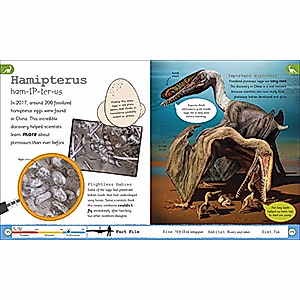 My Encyclopedia of Very Important Dinosaurs: Discover more than 80 Prehistoric Creatures (My Very Important Encyclopedias)