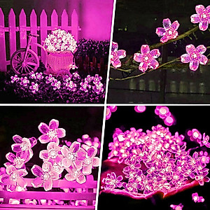 FULLBELL Valentines Day Decorations Pink Lights Cherry Blossom Lights Flower String Lights 33 Feet 100LED 8 Modes Wedding Party Indoor Flower Lights Bedroom Birthday Pink Room Decor (Pink)
