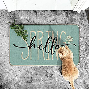 Artoid Mode Blue Hello Spring Daisy Welcome Decorative Doormat, Seasonal Low-Profile Rug Switch Mat for Indoor Outdoor 17x29 Inch