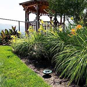 Good Life, Inc. Solar Safeguard | Solar Powered Mole, Gopher & Vole Repeller | Ultrasonic Sounds & Vibrations | Large Coverage Area | Water & Weather Resistant