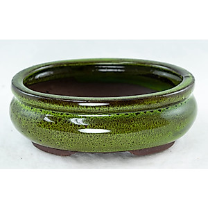 Calibonsai Oval Mame Shohin Bonsai / Cactus & Succulent Pot + Mesh 6inchx 5inchx 2inch - Moss Green Stain Glazed