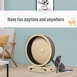 PawHut Round Hamster-Wheel Style Cat Exercise Wheel with Carpet Runway, Wooden Sisal-Covered with Unique Design Grey