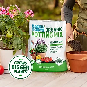 Back to the Roots 100% Organic Potting Mix (6 Quart) | Premium Blend | Made in The USA