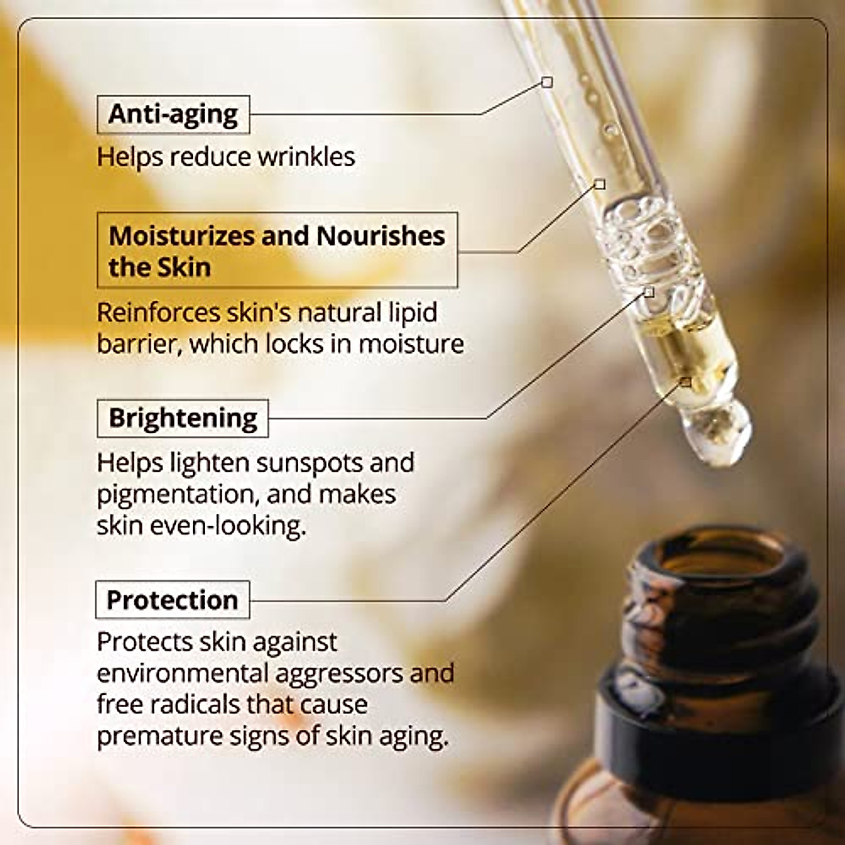 Avalon Organics Vitamin C Oil , Anti-Aging Serum with Essential Fatty Acids, Vitamin E, Hydrating & Brightening Serum, Helps Reduce Lines & Wrinkles