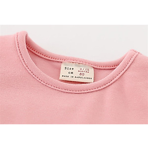 Csbks Toddler Baby Girls Long Sleeve Cotton Dress Solid Ruffle Tops 2T Pink