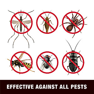 Enoz Flyswatter, Rids Home and Garden of Pests, Multicolor, Heavy Duty with Vented Design, Easy to Use, Pack of 12