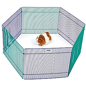 Small Animal Pet Playpen /Exercise Pen, Blue and Green,1 Count (Pack of 1), Small Animal Playpen.
