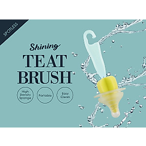 Simba Sponge Nipple Brush with Easy Hanging Hook (Turquoise)