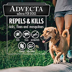 Advecta Ultra Flea and Tick Prevention for Dogs, Dog Flea and Tick Treatment, Waterproof Topical, Fast Acting, Large Dogs (21-55 lbs), 4 Doses
