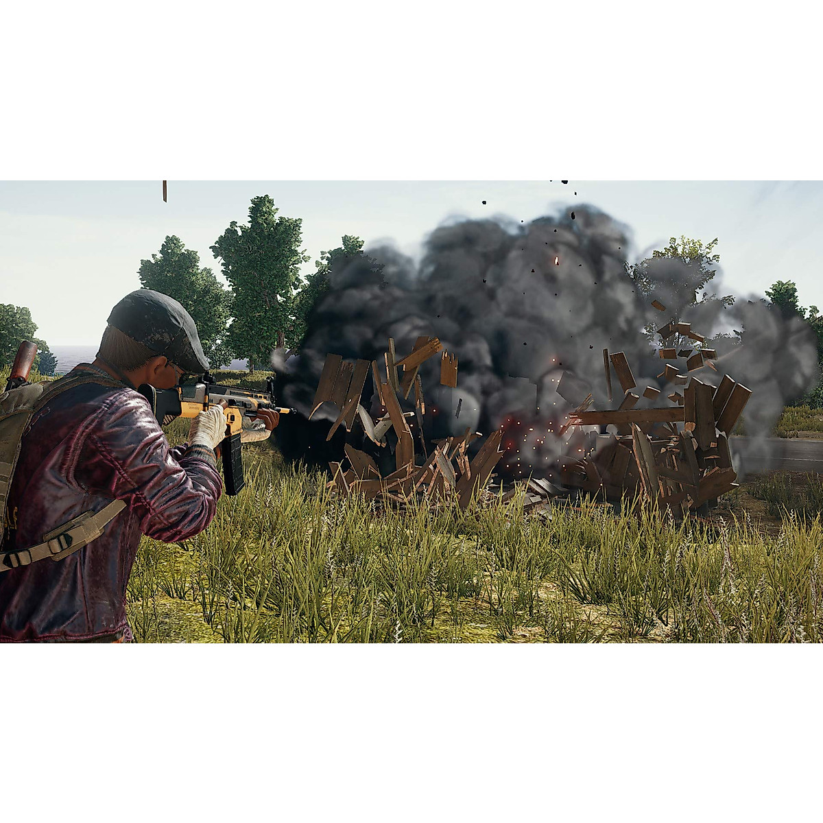 PlayerUnknown´s Battlegrounds PS4 [German Version]