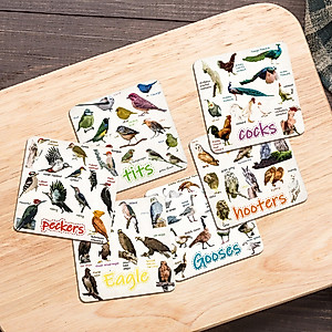 Set of 6 Bird Pun Coasters, Bird Pun Coasters for Drinks, Square Coaster Set for Cups Home Funny Coasters Set for Bird Lover Friends Bar Housewarming Gift Coffee