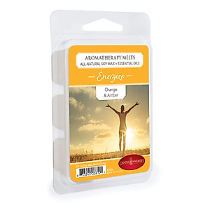 CANDLE WARMERS ETC. 2.5 oz Aromatherapy Scented Wax Melt, Energize | 100% Soy Wax Scented with Orange & Amber Essential Oils