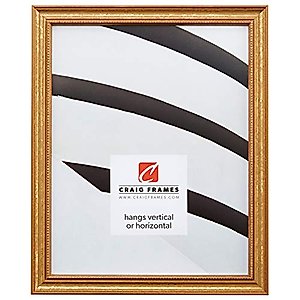 Craig Frames 314GD, Ornate Gold Picture Frame, 12 x 16 Inch