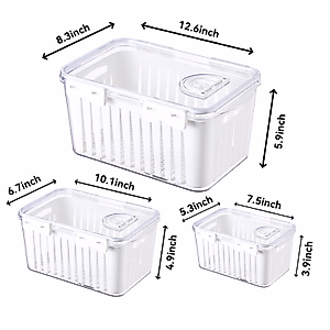 Oiperiey 3-Pack Fridge Vegetable and Fruit Storage Containers, Creative Timer Refrigerator Drain Storage Box, BPA-Free Kitchen Storage Box with Ventilation Holes to Keep Food Fresh