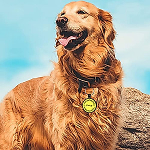 YEHANTI Silicone Dog Tags Engraved for Pets, Silent Dog Tag, Lightweight and Waterproof, Personalized Dog Tags and Cat Tags, Custom Pet ID Tags for Puppy Kitten with Mix Pattern Designs, Round