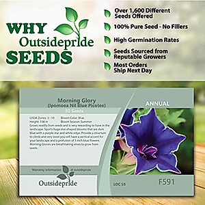 Outsidepride Ipomoea Nil Morning Glory Blue Picotee Climbing Vine Plant Flower - 50 Seeds