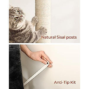 FourFurPets Cat Tree for Indoor Cats, 63in Cat Tower, Cat Condo, Two Cat Perch, Wwo Cat Caves, Two Cat Basket, Sisal Scratching Stairs, Toys, Smoky Gray