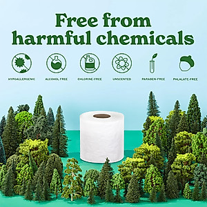 Caboo Tree Free Toilet Paper, Tree Free, Septic, Chemical Free Bath Tissue - 2 Ply Sheets, 300 Sheets Per Roll, 12 Double Rolls