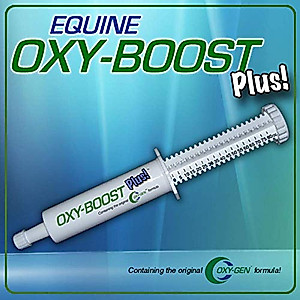 Oxy-Gen Oxy-Boost Probiotic Electrolyte Paste for Horses | Contains Vitamin E, Omega 3, Omega 6 and Octacosanol For Enhanced Performance | 80cc Paste (4 Doses)| Made in USA