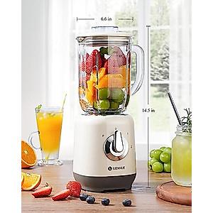 KIDISLE Retro Blenders for Kitchen, 34oz Glass Jar, 700W Smoothie Blender for Shakes and Smoothies, 3 Adjustable Speed for Milkshake, Ice Crush, Puree and Frozen Fruit, White