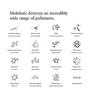 Molekule PECO-HEPA Tri-Power Filter Air Mini and Mini+ | Air Purifier Replacement Filters with PECO and HEPA Technology, Eliminates Smoke, Mold, Bacteria & Other Pollutants for Clean Air - Gray