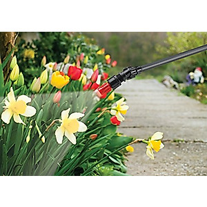 Solo 430-2G 2-Gallon Farm and Garden Sprayer with Nozzle Tips for Multiple Spraying Needs