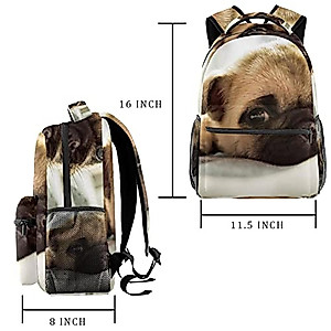 School Backpack Travel Backpack,Boy Girl Backpack,pug dog,Outdoor Sports Rucksack Casual Daypack