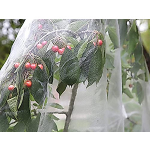 Unves 10'x20' Garden Netting, Mosquito Netting Plant Covers Insect Bird Netting Protection Netting for Vegetable Fruits, Mesh Netting Pest Barrier Protect Garden Plant from Birds Bugs