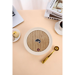 BMTick Fish Food Container with Lid and Scoop Sleek Nordic-Style - Modern Minimalist Design (Not Air-Tight)