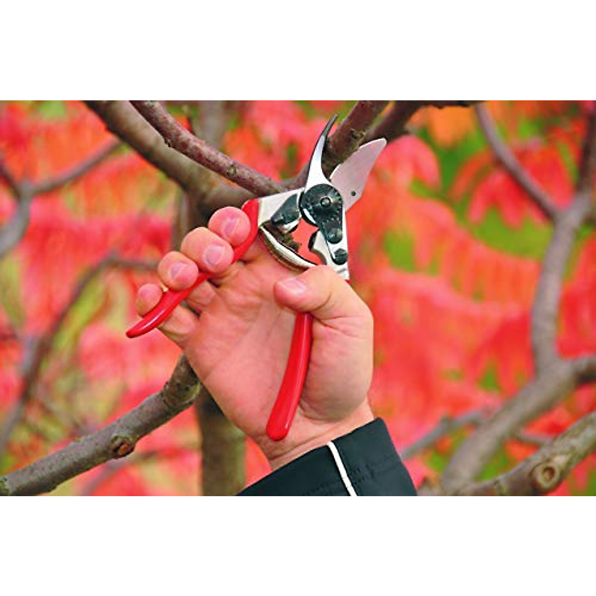 Felco Pruning Shears (F 6) - High Performance Swiss Made One-Hand Garden Pruners - 100052385
