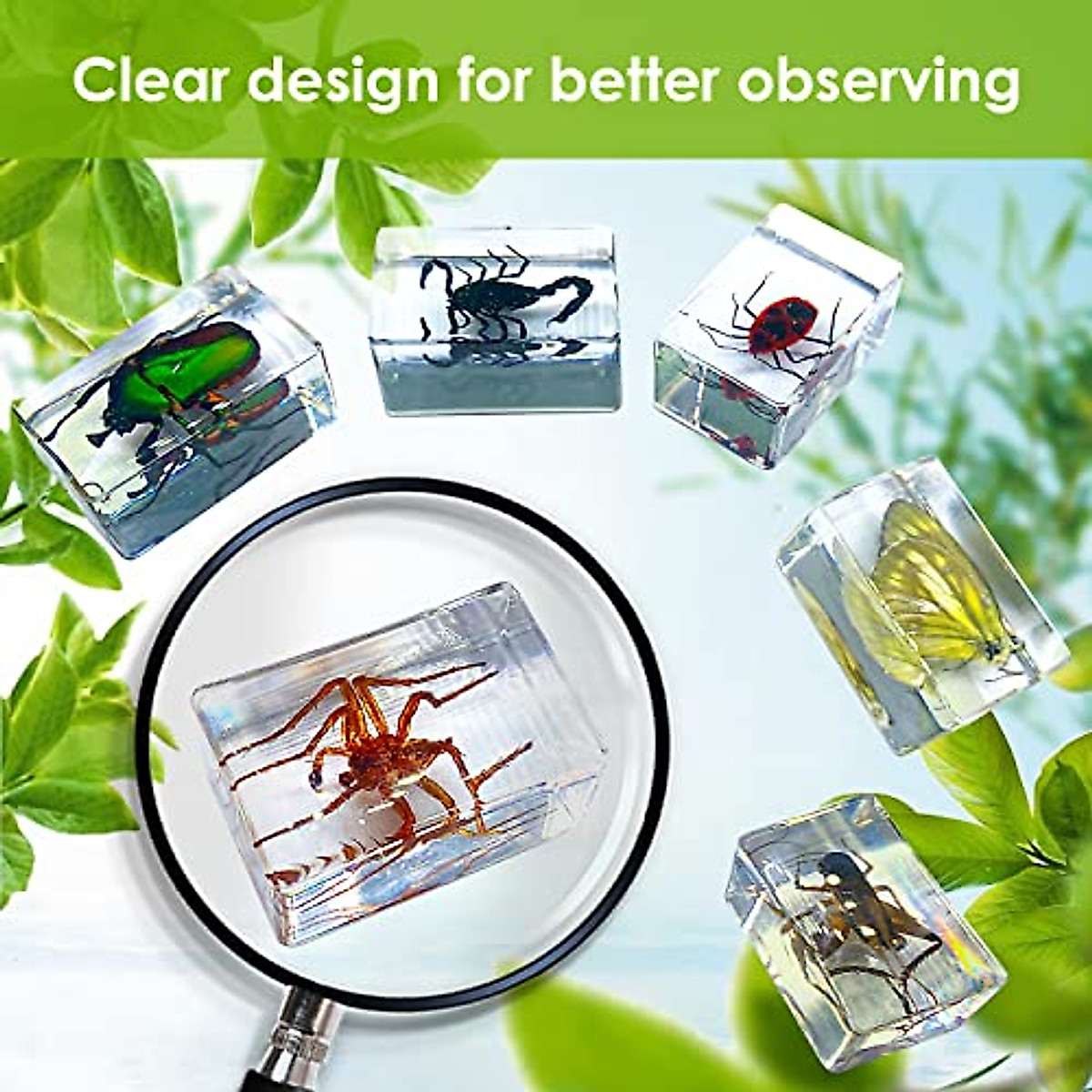 11 Pcs Insects in Resin Specimen Bugs Collection Paperweights Real Bugs in Resin Various Insect Specimen Bug Preserved in Resin Bugs Collection for Kids Scientific Educational Supplies Bugs Display