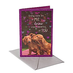 American Greetings Romantic Birthday Card (Dachshunds)