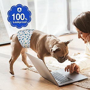 MICOOYO Dog Diapers Male Disposable | Super Absorbent Male Dog Wraps | Ligher Male Dog Diapers | Leakproof Puppy Diapers Male Doggie Diapers with Wetness Indicator (L, 20Counts)