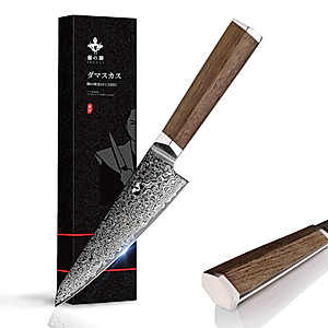 FUJUNI Steak Knives Set of 4 with In-Drawer Knife Block, 5 inch Damascus Steak Knife Set VG-10 Damascus Super Steel 67-Layer Non Serrated Steak Knives with Natural Wood Handle, Gift Box