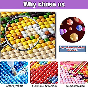 TINY FUN 12 Pack Diamond Painting Kits for Adults 5D Diamond Art Kit for Beginners DIY Full Drill Gem Art, Paint with Round Diamonds Paintings Packs for Home Wall Decor Gifts (12X16 Inch)