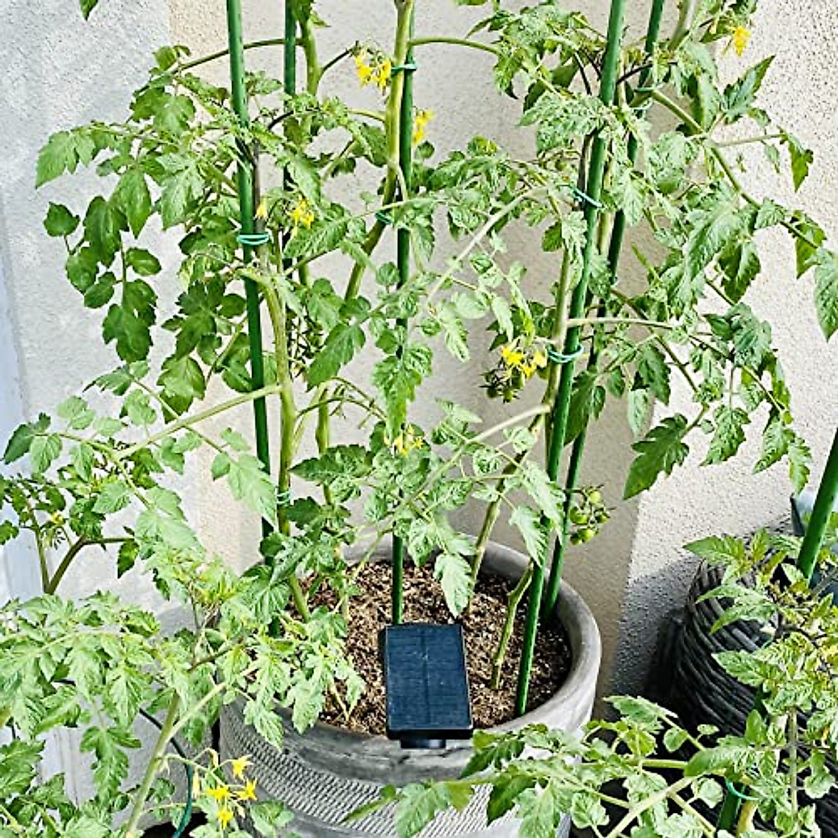 Garden Plant Stakes 36 Inch 3Ft Steel Plant Stick Support, Tomato Stakes for Growing Climbing Plants, Pack of 25