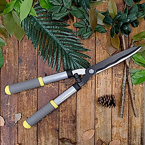 Colwelt Hedge Clippers 21'', Hedge Shears for Trimming Borders, Boxwood, and Bushes, Hedge Gardening Shears with Carbon Steel Sharp Blades & Ergonomic Comfortable Handle